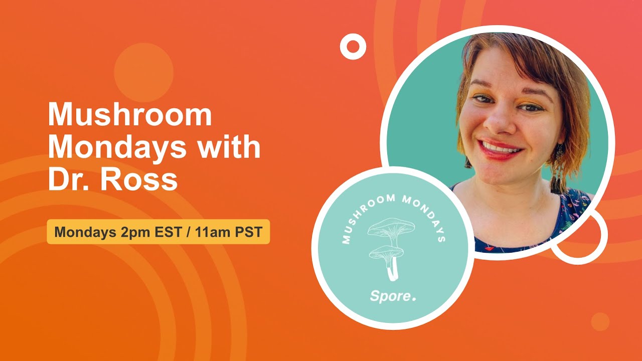 Mushroom Mondays Episode 1: Welcome To The 30-Day Mushroom Challenge ...