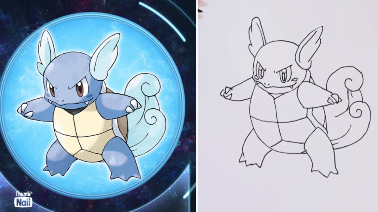 HOW TO DRAW WARTORTLE POKEMON - Vẽ Kameil Pokemon. - YouTube
