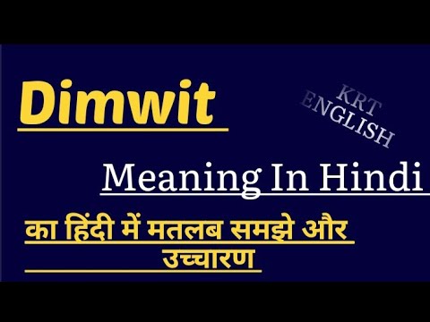 Dimwit meaning in hindi || Dimwit ka matlab kya hota hai || word ...