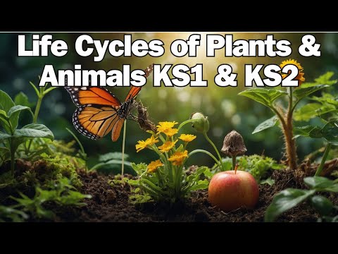 How Is Growth In Plants Different From Animals