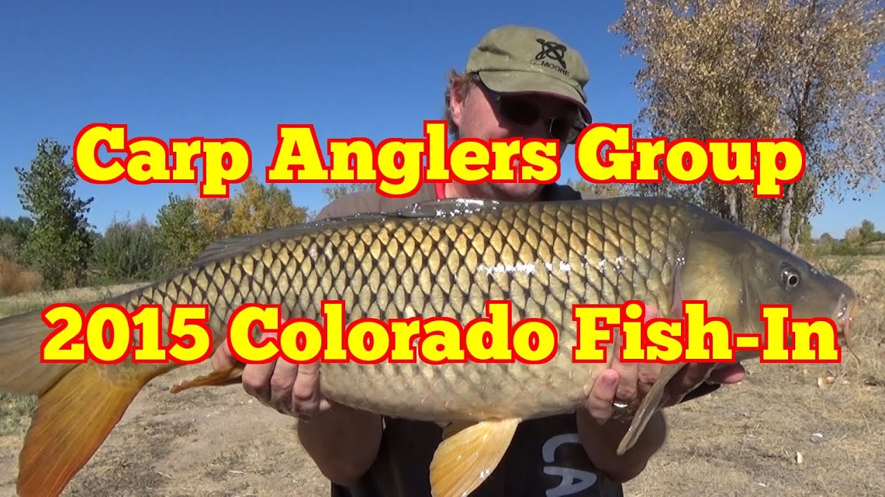 CarpQuest S3E19 - Carp Anglers Group - Colorado 2015 Fish-In - YouTube