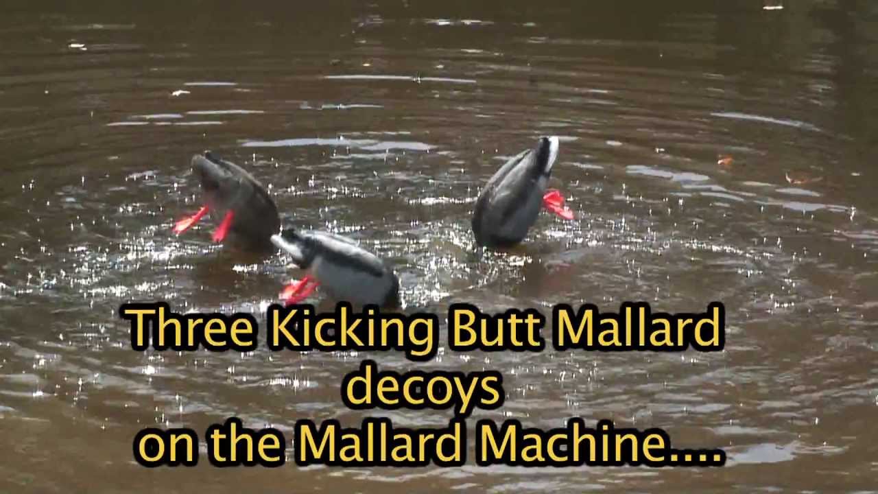 Mallard Machine and kicking Butt Decoys (short) - YouTube