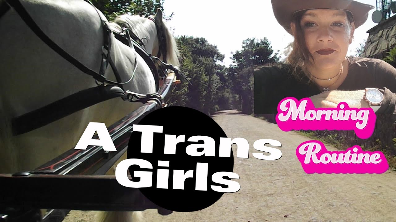 Morning Carriage Routine #transfemale #horse #equestrian - YouTube