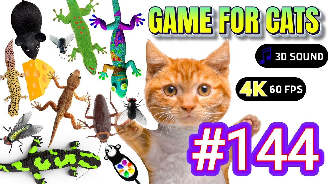 Cat Game - Ultimate Cat Toy Compilation For Cats To Watch #144🦎Lizards🦎 ...
