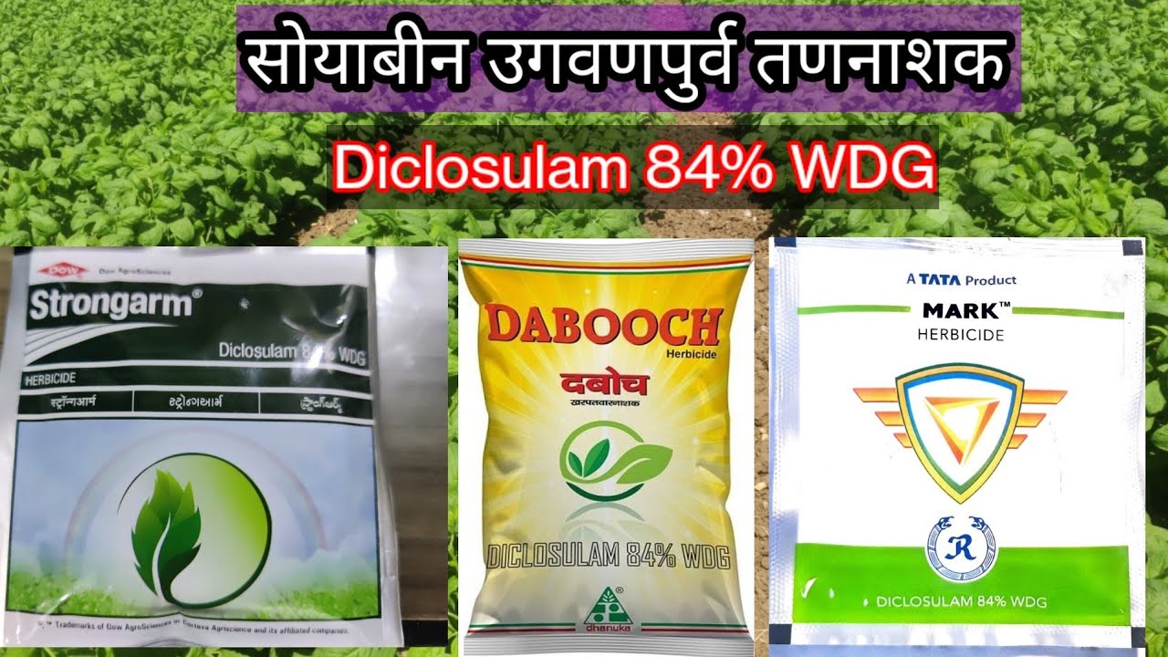 सोयाबीन उगवणपुर्व तणनाशक Strongarm, Daboch, Mark (Diclosulam 84% WDG ...