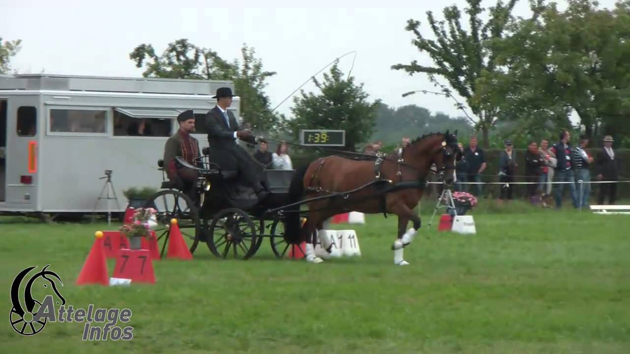 Martin HOLLE Hun CAI HEIJENRATH 2014 - YouTube