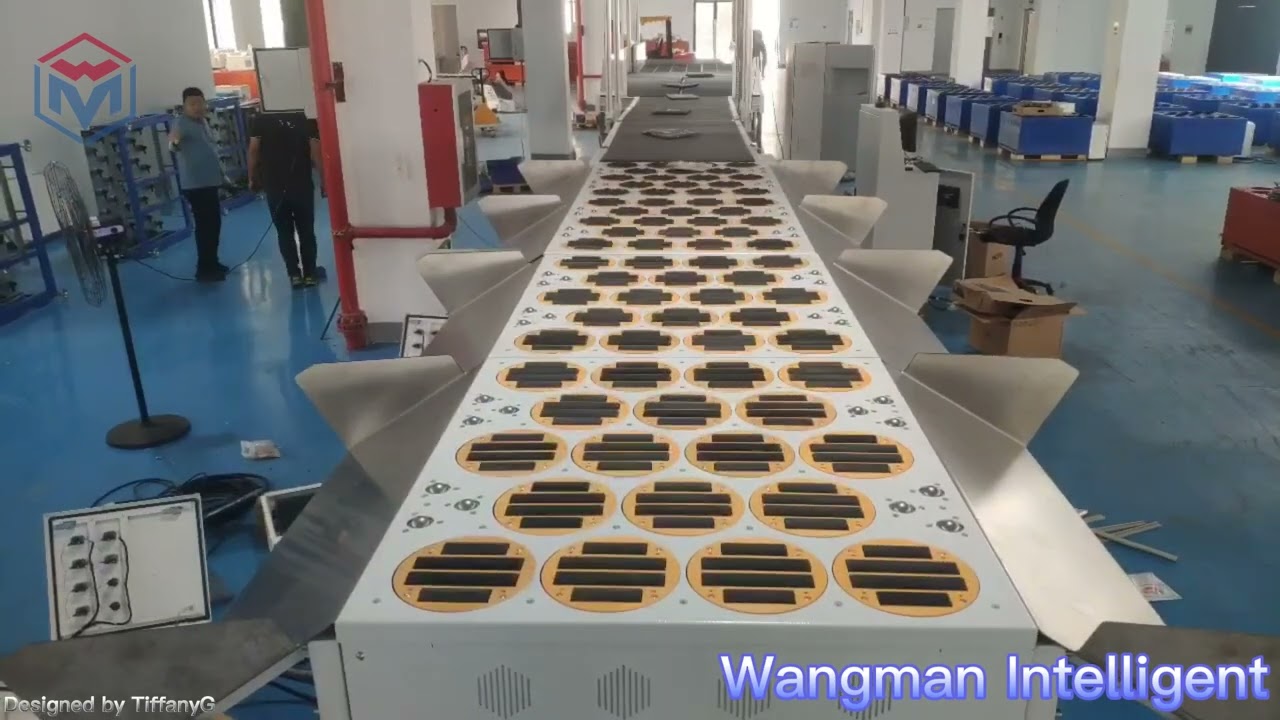 Wheel Sorter/Wheel Diverter/Swivel Sorter/Wave Sorter/DWS/Singulator ...