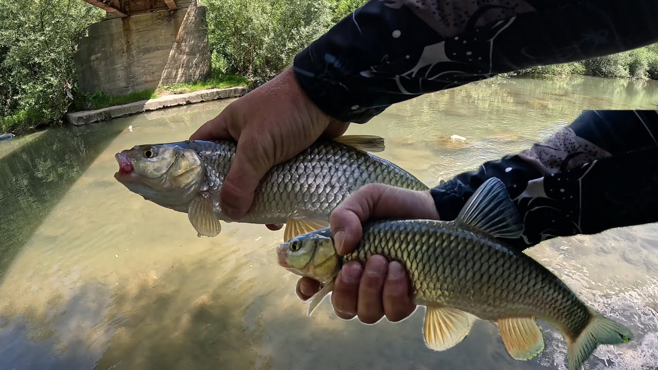 Cel mai PRINZĂTOR VOBLER - Spinning la CLEAN - YouTube