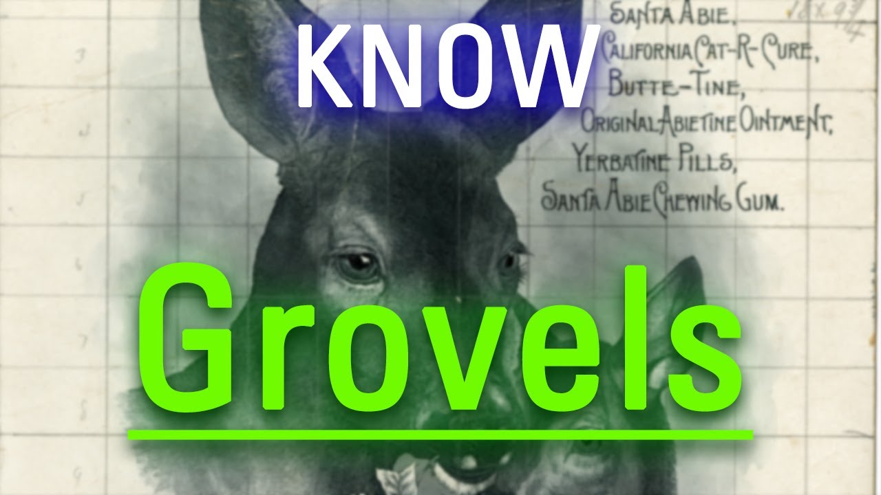 How Does Grovels Look? | What is Grovels? | How to Say Grovels in ...