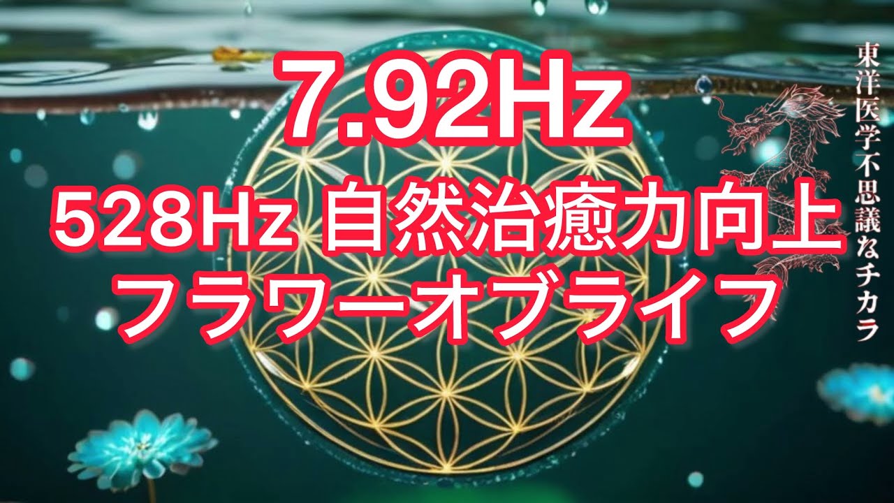 【Flower of Life】7.92Hz+528Hz 自律神経を整え免疫力増加 - YouTube