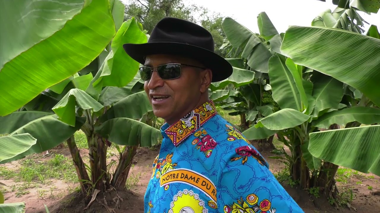 UNE JOURNEE DANS LE POTAGER DE KATUMBI A KASHOBWE - YouTube