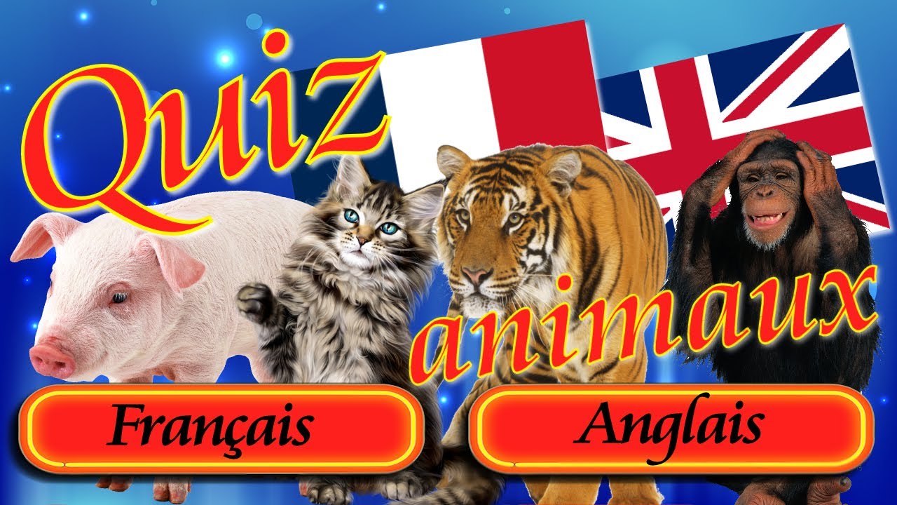 Quiz animaux français anglais en 30 questions, niveau débutant. Allez ...