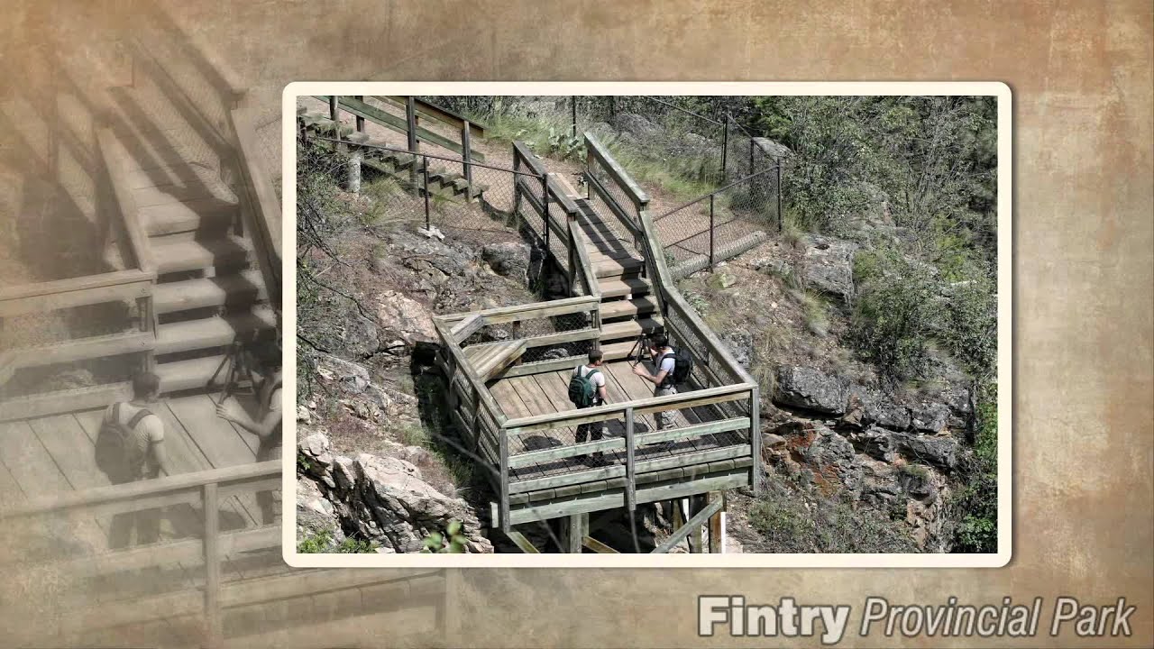 Virtual Tour of Fintry Provincial Park - YouTube