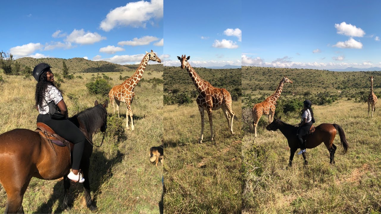 HORSE RIDING WITH GIRAFFES/Borana Conservancy Safari - YouTube