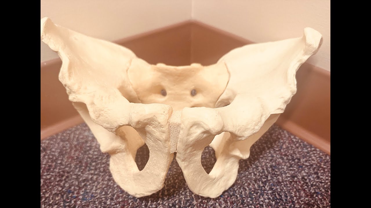 Core Muscle Injuries? Breaking Them Down In The Context of Gary Payton ...