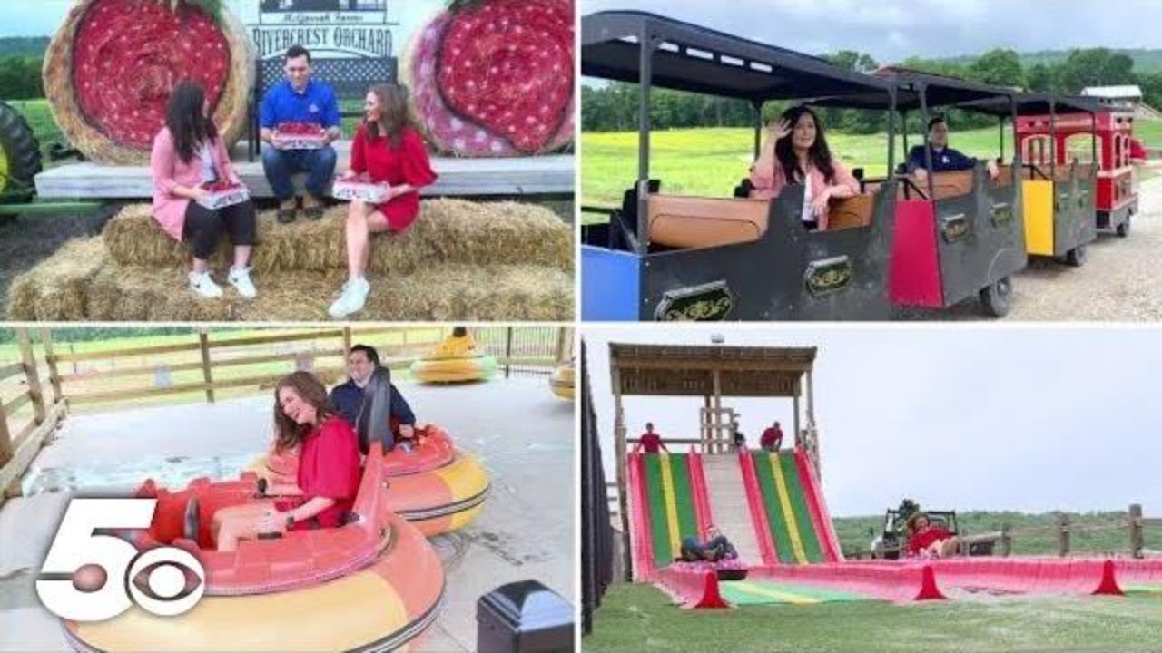 Berry-filled fun at Rivercrest Orchard | Around the Corner - YouTube