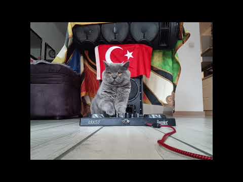 Bam Bam dj deniz and Tommy