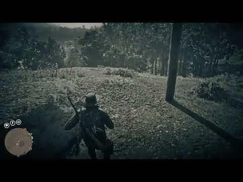 RDR2 Online - Family Heirloom Collectible at the Naked House - YouTube