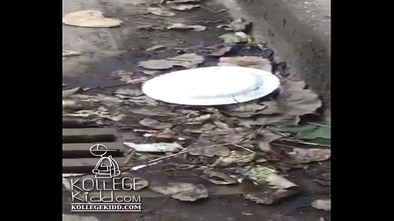 This Is What Happens To A Rat In Chicago - YouTube