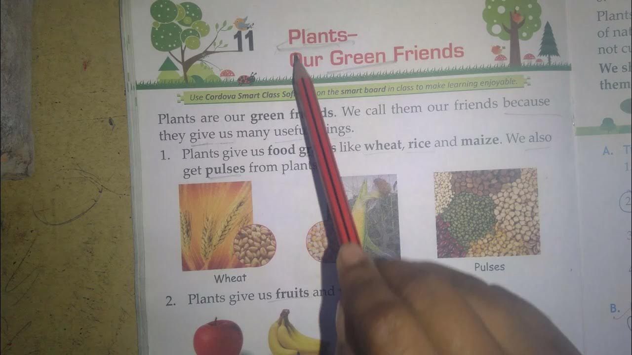 Plants our green friends. EVS Class 1st L1 - YouTube