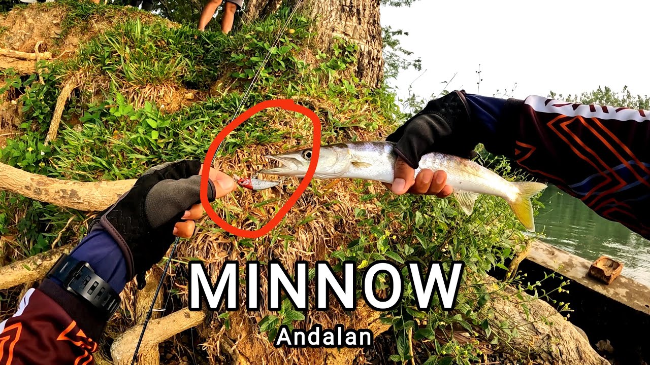 SENSASI TARIKAN IKAN DEKAT KAKI BERDIRI | mancing UL di muara ...