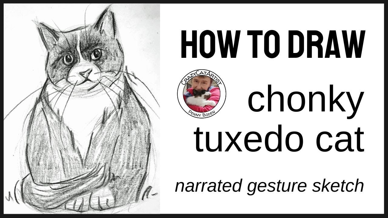 How to Draw Chonky Tuxedo Cat Sitting | Cute Chubby Fat Domestic ...