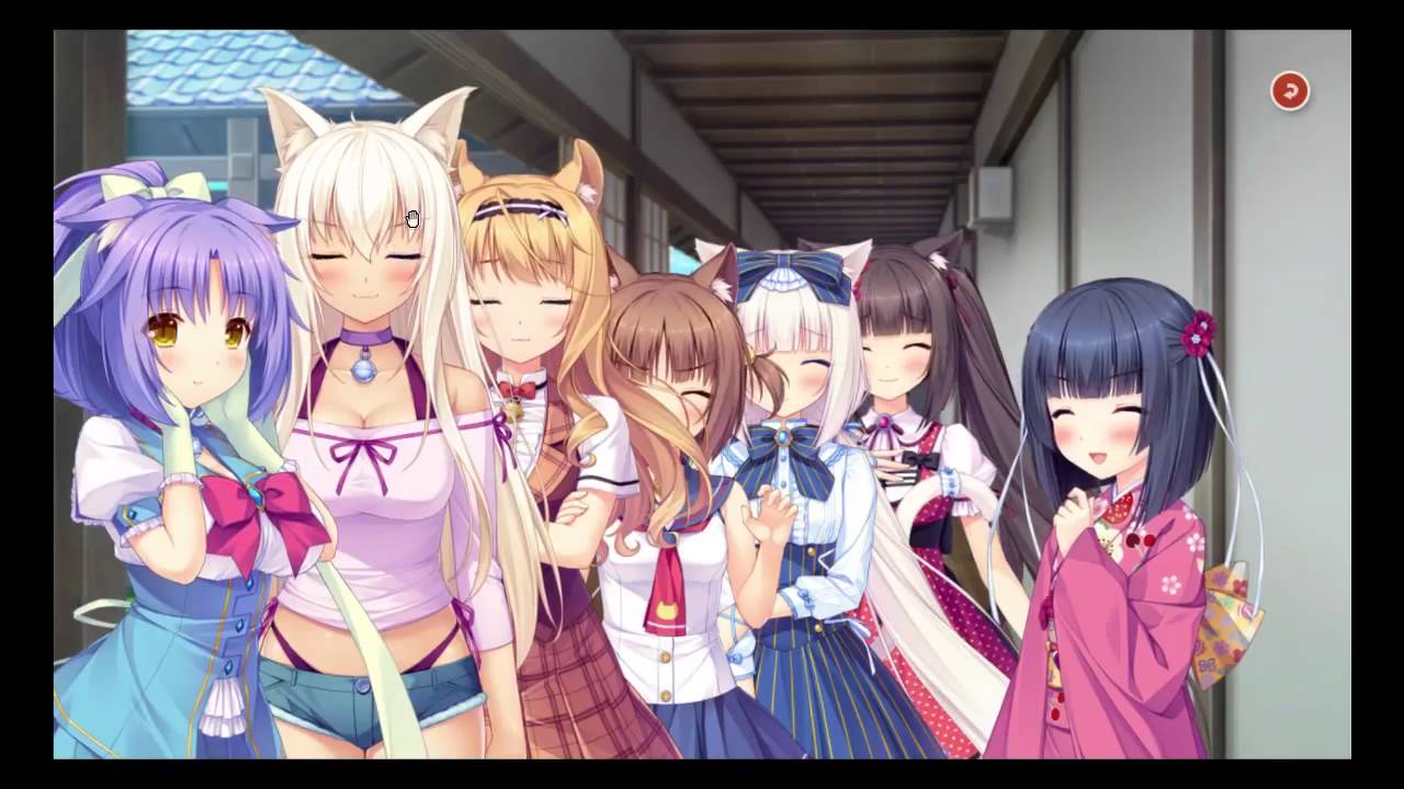 Neko are Love Neko are Life - YouTube
