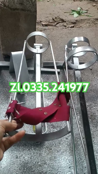 giá thiến lợn con từ 2kg đến 4kg7kg 13kg #giảrẻ #hiệuquả - YouTube