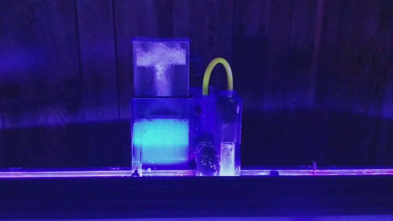 Aquatic life 48 reef led light - YouTube