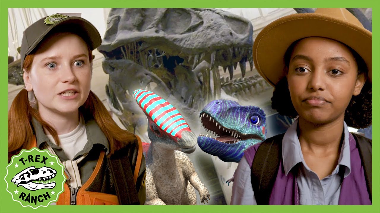 Lost Baby T-Rex Adventure! T-Rex Ranch Dinosaurs for Kids - YouTube