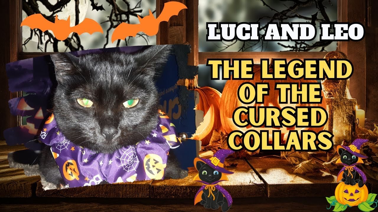 Luci and Leo - The Legend of The Cursed Collars - YouTube