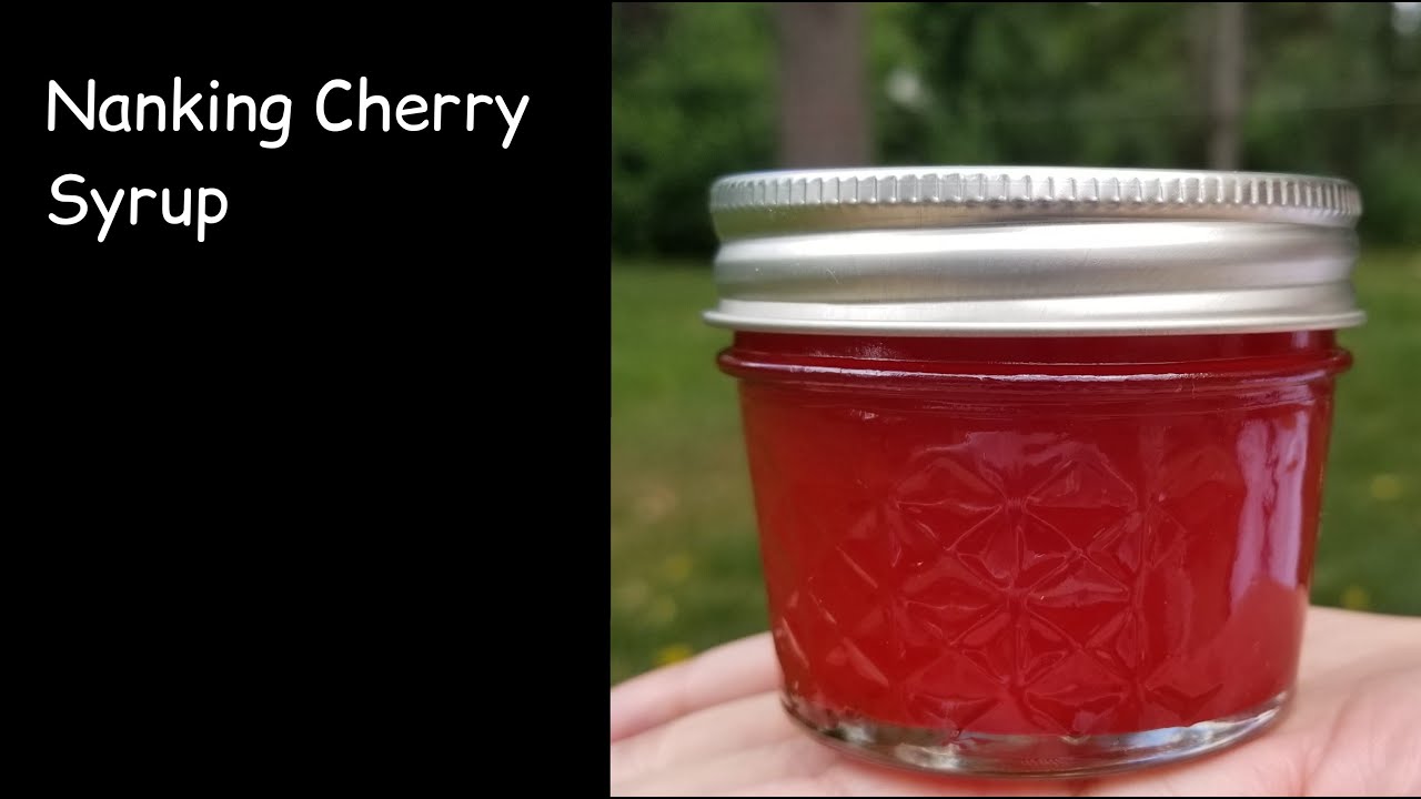 Nanking Cherry Syrup, figurine_eat_out, Deepali Pandit #cherry #syrup # ...