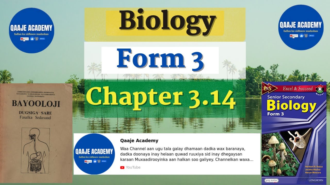 Biology Form 3. Chapter 3.14 Female reproductive - YouTube