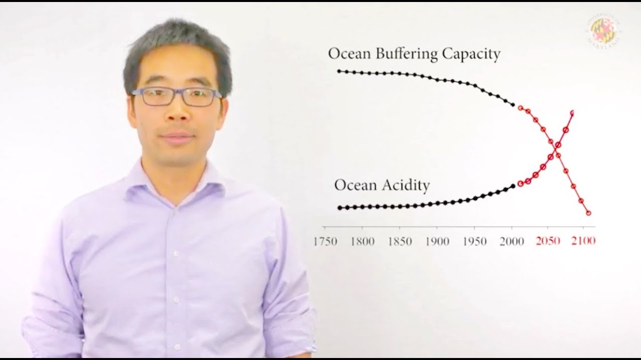 New study on the changes of surface ocean pH and buffer capacity in the ...