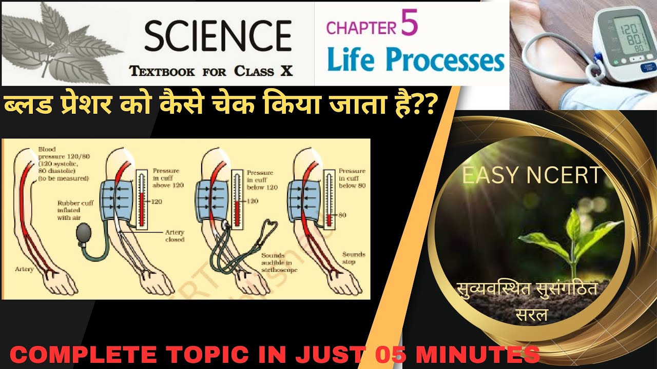Blood Pressure Measurement | Class 10 Science | Biology Chapter:- 5 ...