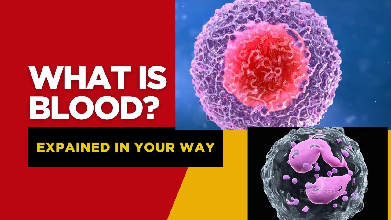 what is Blood | Fully explained in simple way #11th #biology #neet #gk ...
