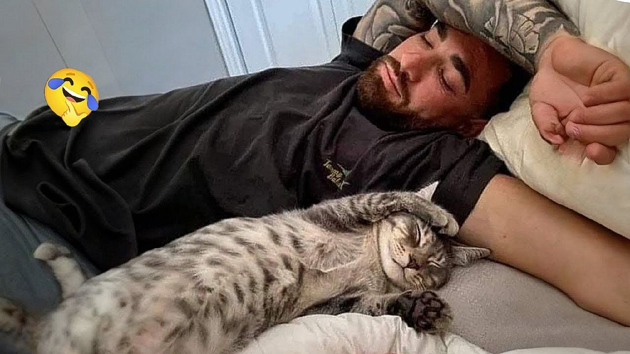 Funniest Cats and Dogs 😂 Ultimate Pet Fails Compilation! Part 36 | Can ...