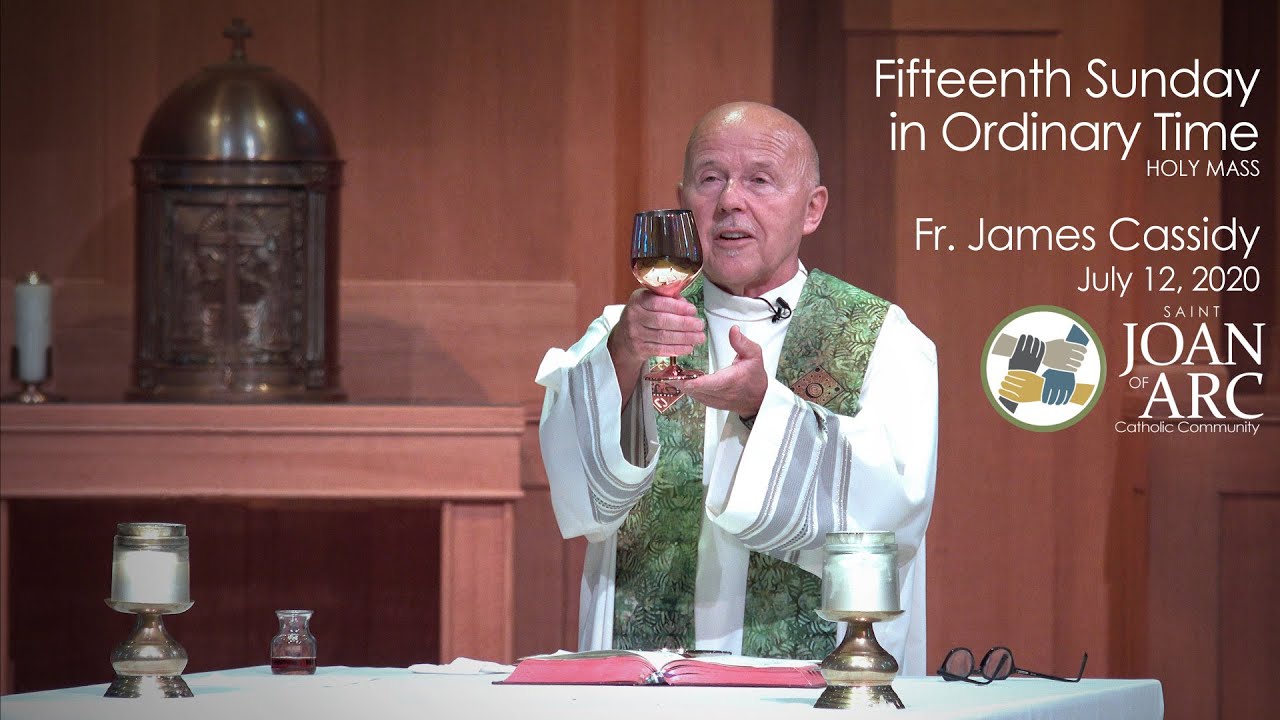 Fifteenth Sunday in Ordinary Time - Fr. James Cassidy - YouTube