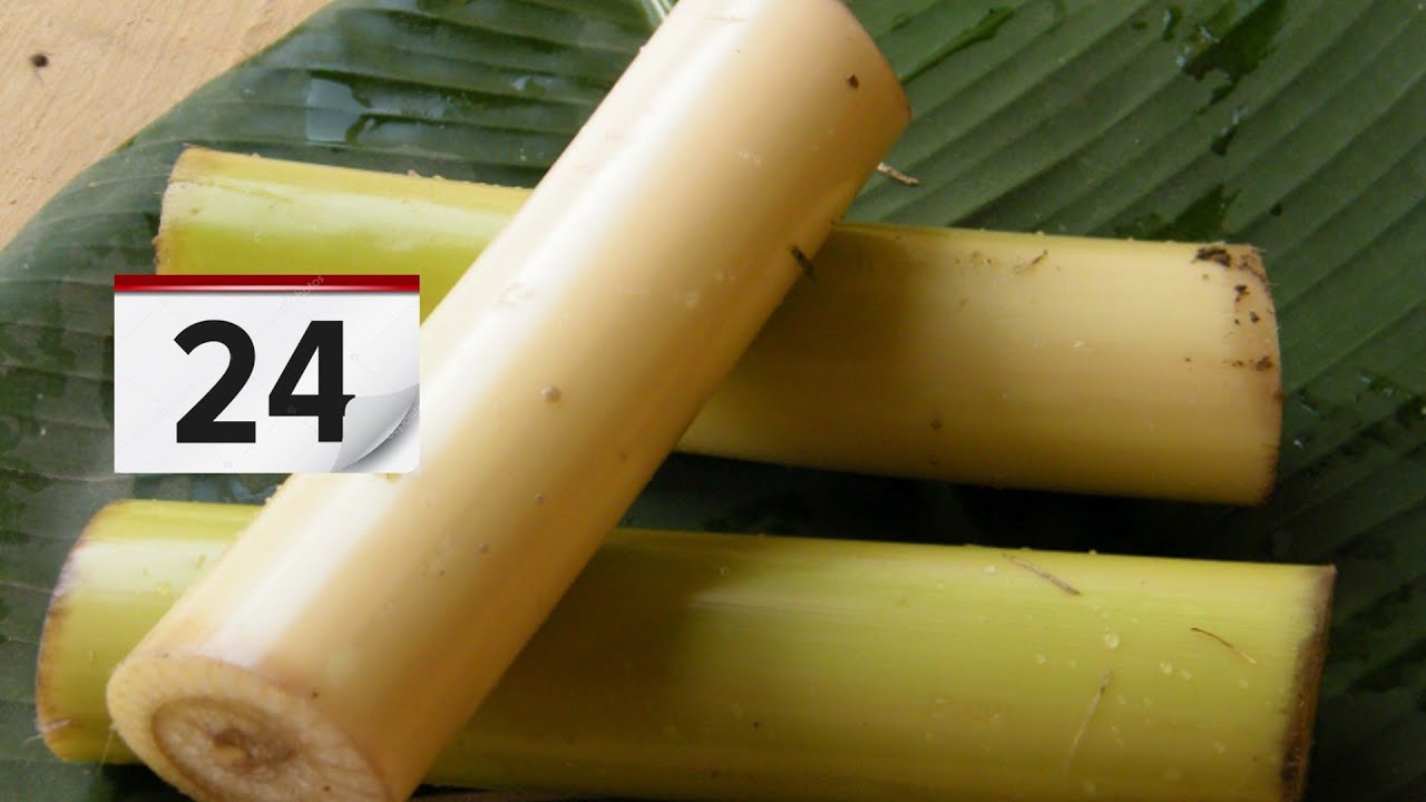 Valaithandu recipes Day 24 வாழைத்தண்டு .Cures uterus problems, banana ...