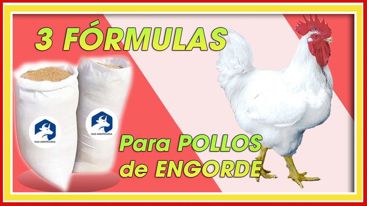 POLLOS de ENGORDE 3 FÓRMULAS GRATIS INICIO CRECIMIENTO y FINAL ǀ Ing ...