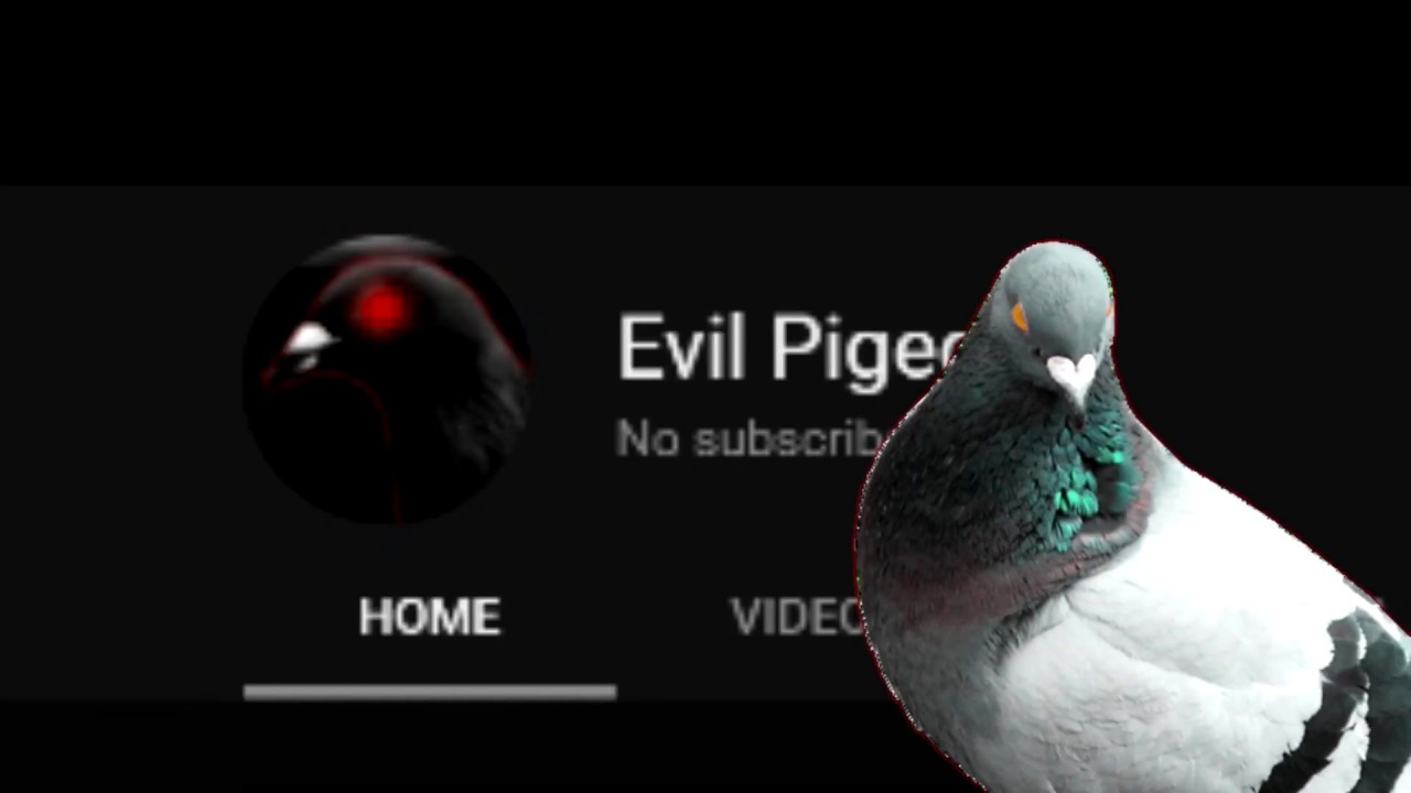 Evil Pigeon