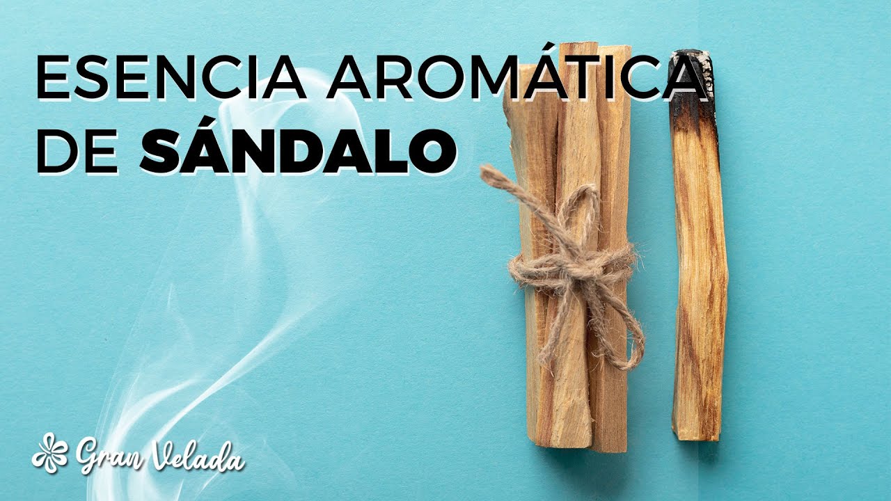 Para que es la esencia de Sandalo - YouTube