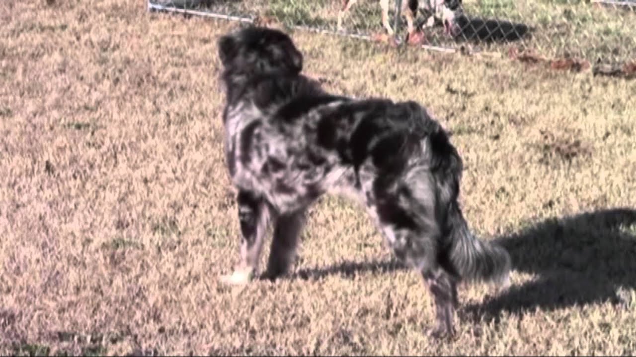 Sam Stalks Motley - YouTube