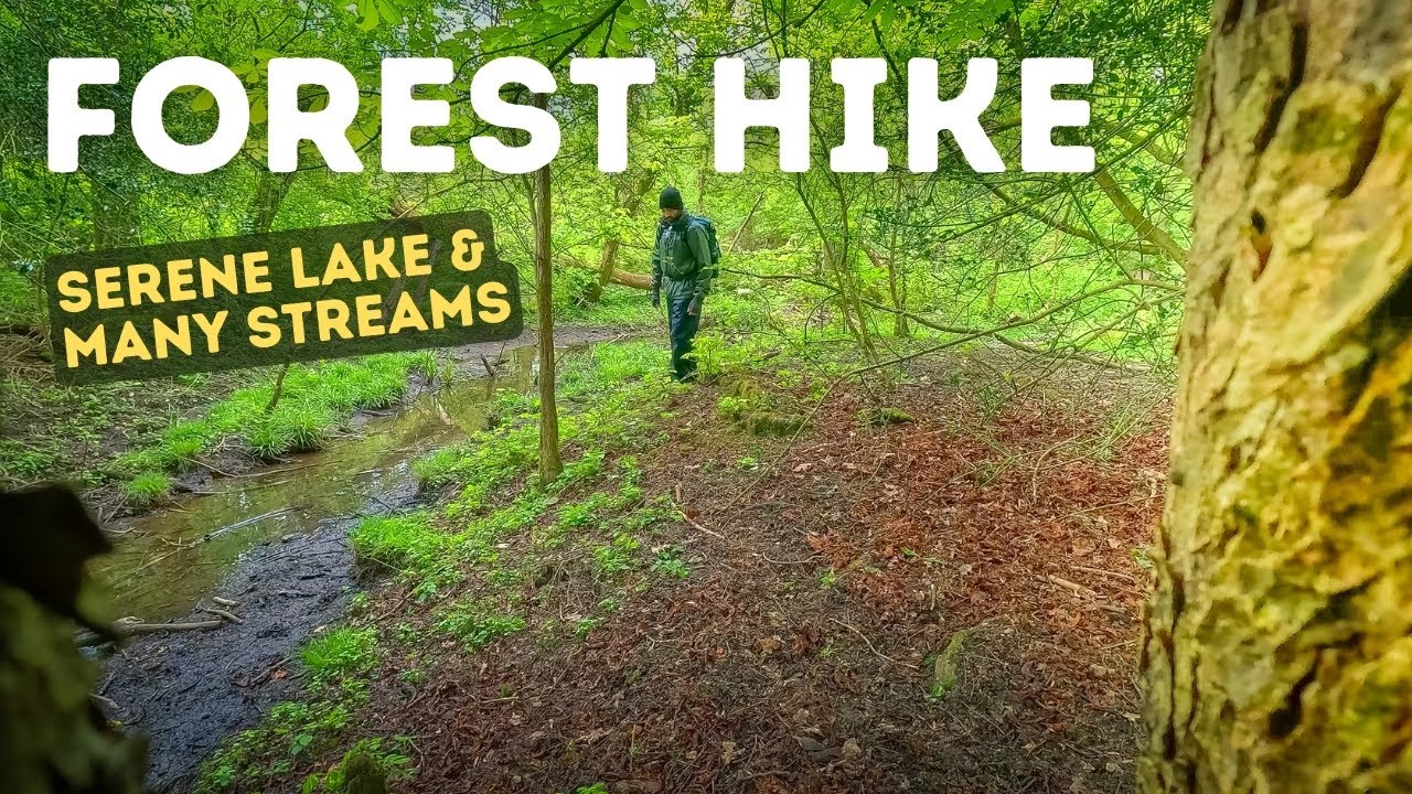 Hiking through a forest trail with a lake - YouTube