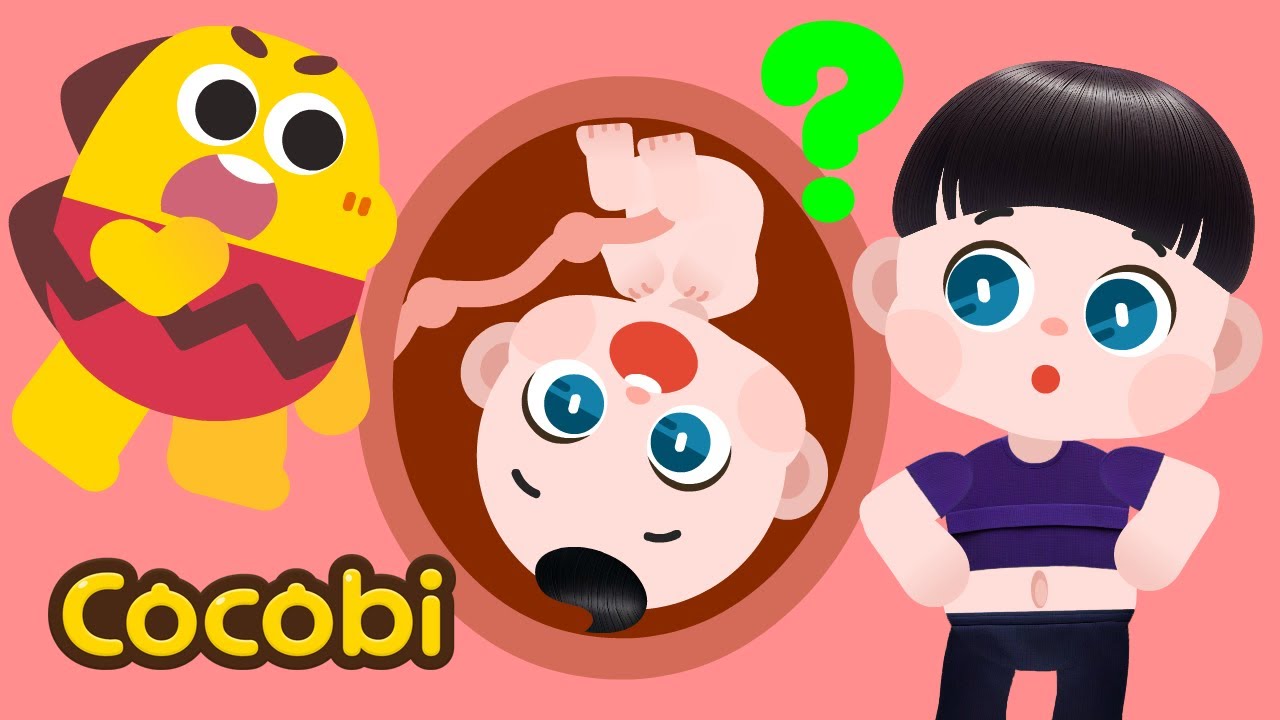 Meu Grande Umbigo | My Big Belly Button | Canciones Infantiles | Kids ...