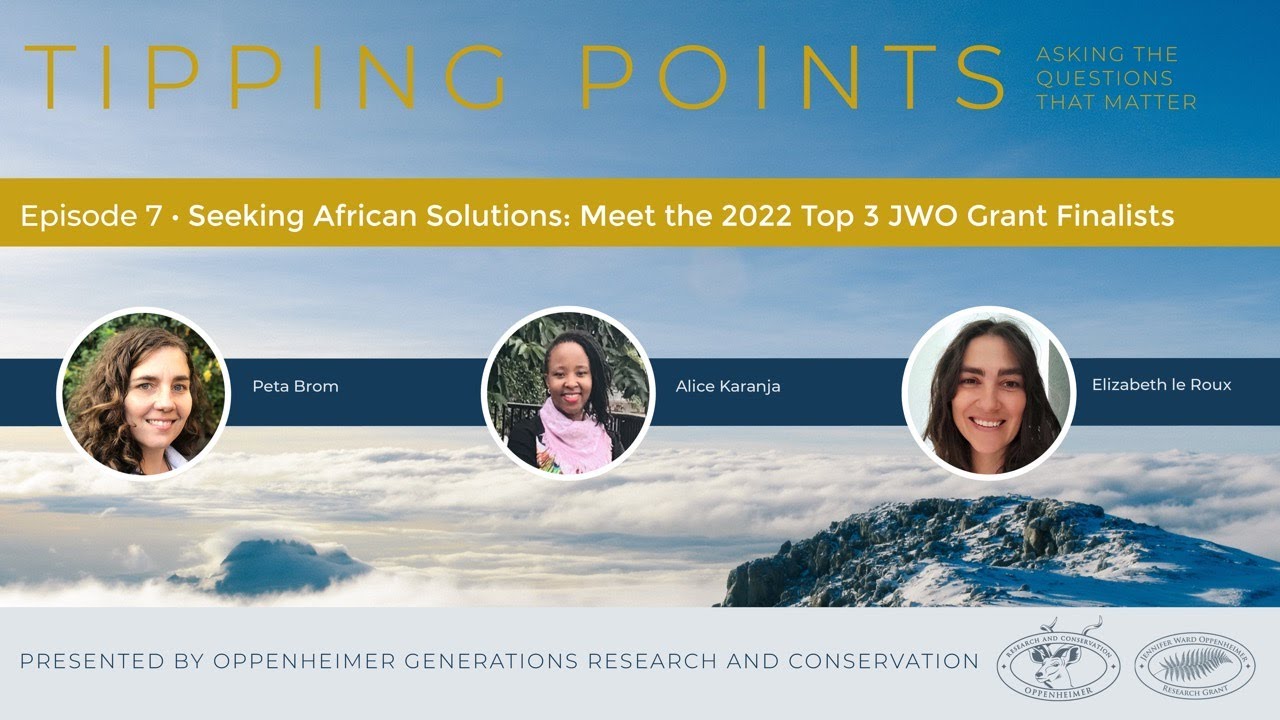 Seeking African Solutions: Meet the 2022 Top 3 JWO Grant Finalists ...