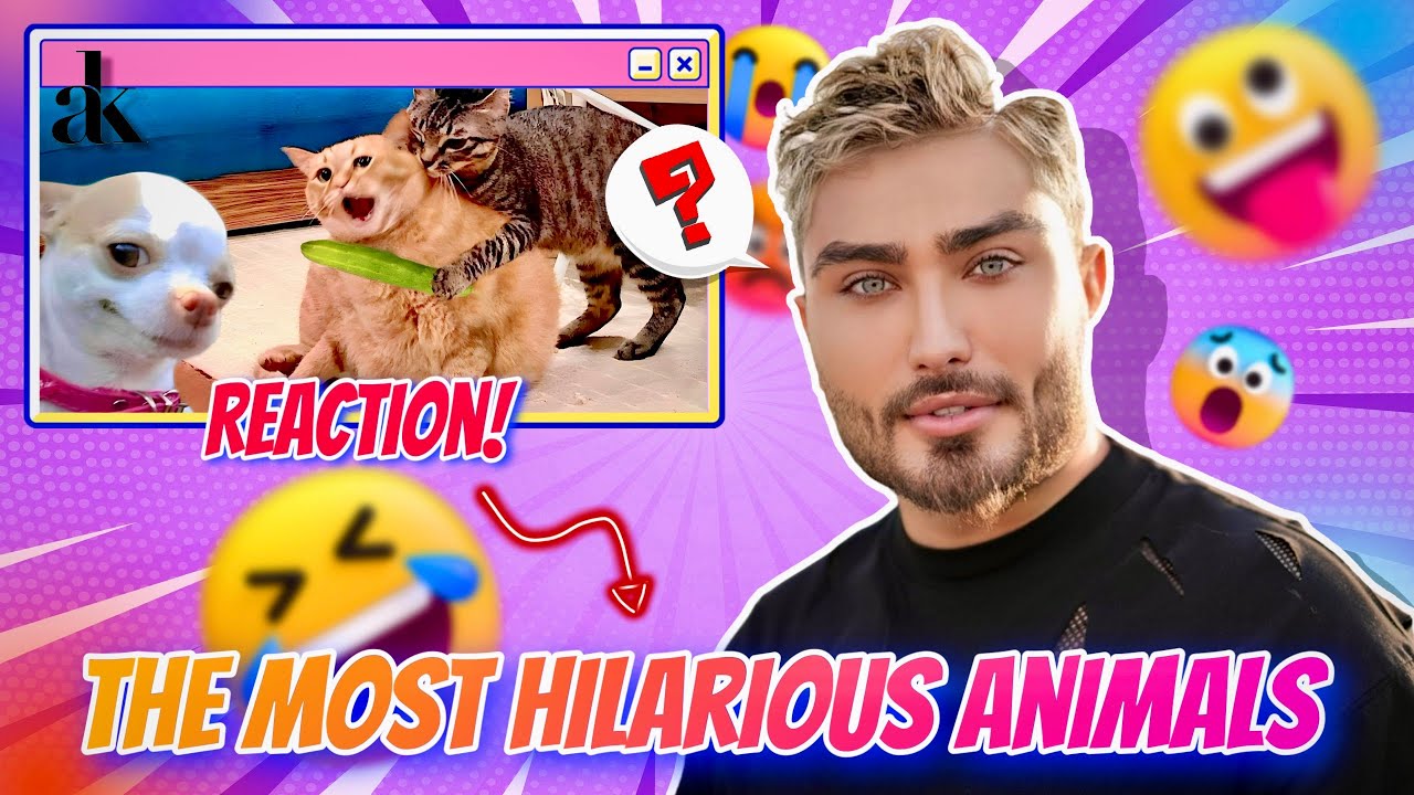 The Most Hilarious Animals 😍 (Funny Reaction!!) 😂🤣 - YouTube