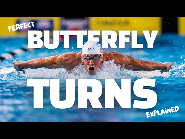 Butterfly Stroke Quotes How To Do PERFECT Butterfly Turns