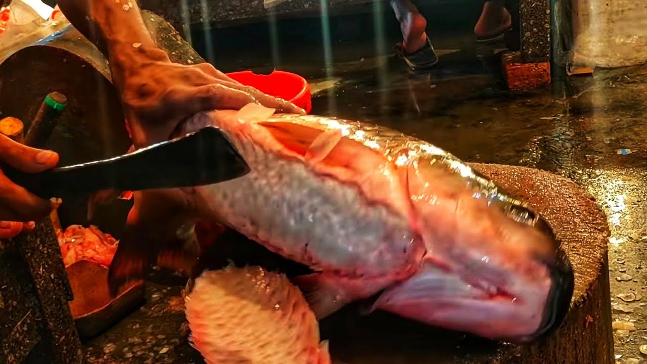 amiging excellent big rot fish cutting video.. village fishing ...