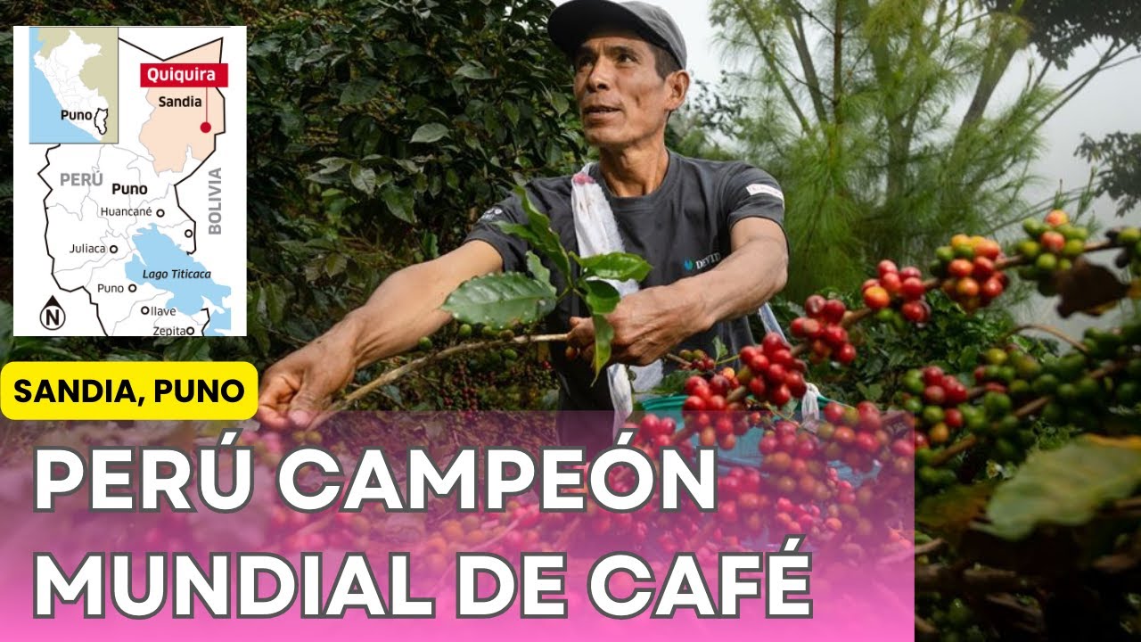 🟡 SANDIA PUNO: TIERRA DEL MEJOR CAFÉ DEL MUNDO - YouTube
